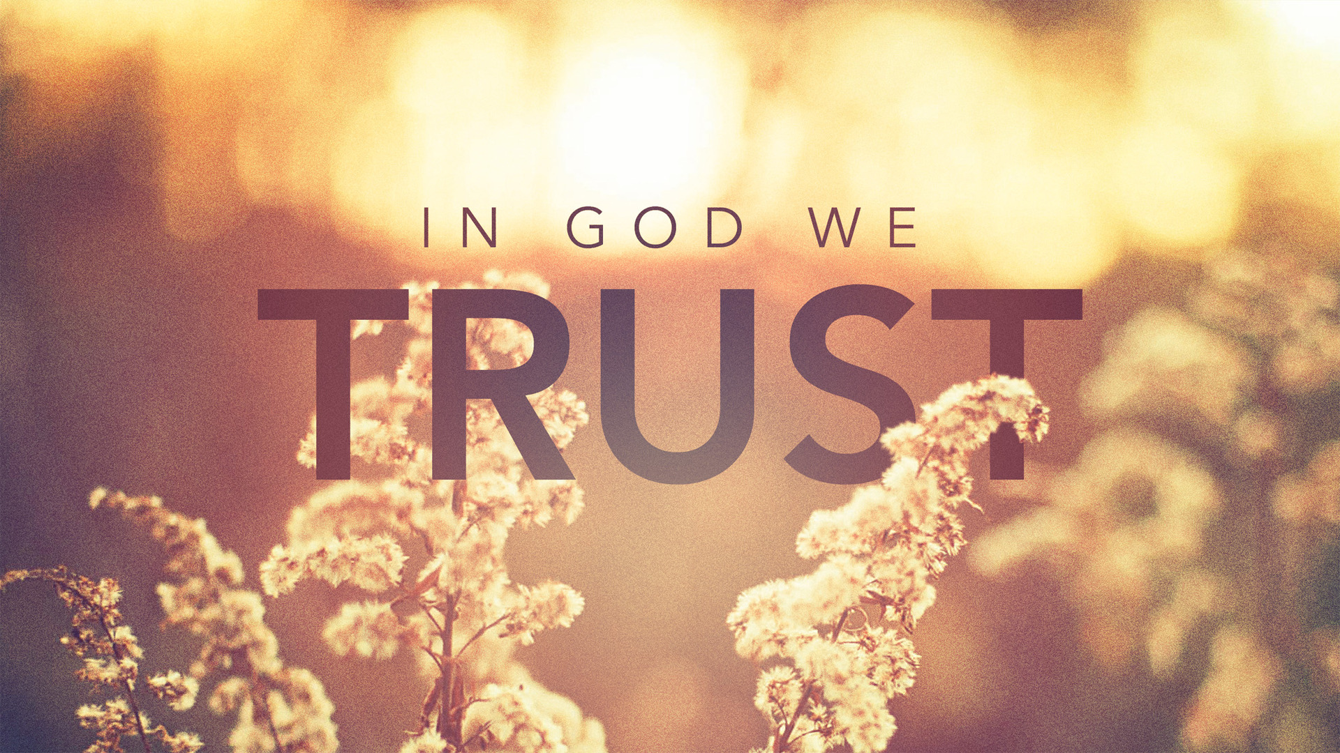 God Will Never Abandon You - True Life Church Clay County God Will Never Abandon You - True Life Church Clay County